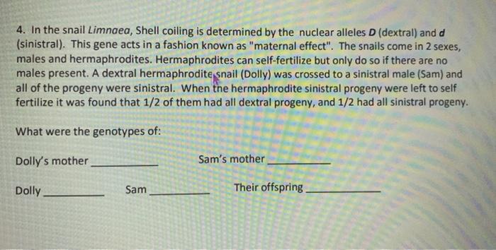 Solved 4. In the snail Limnaea, Shell coiling is determined | Chegg.com