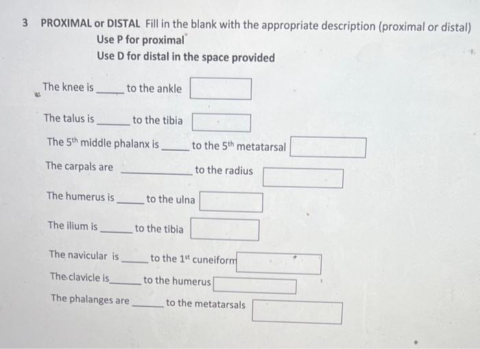 Solved 3 PROXIMAL or DISTAL Fill in the blank with the | Chegg.com