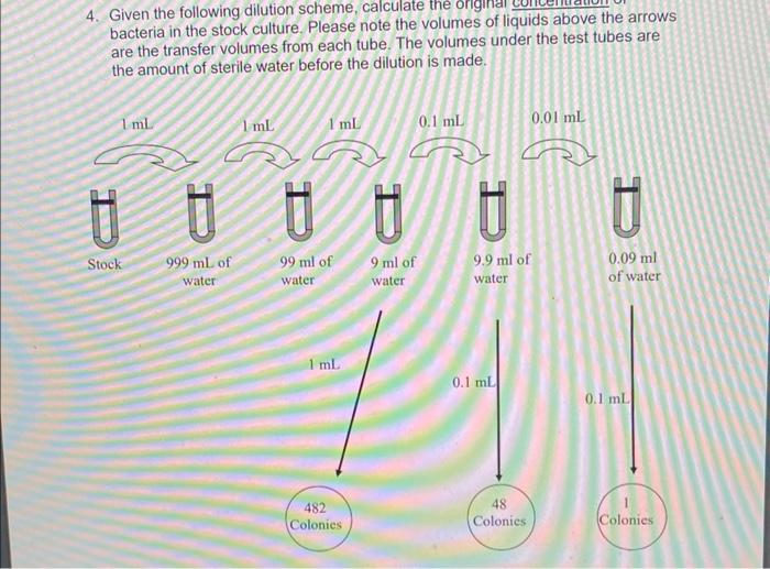 Solved 1. Given the following dilution scheme, calculate the | Chegg.com