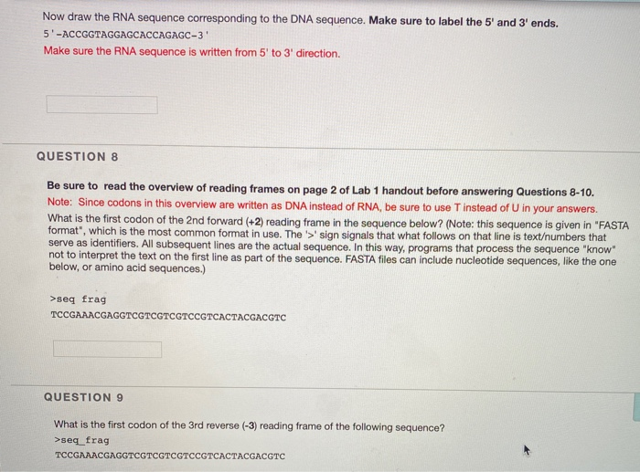 Solved Now draw the RNA sequence corresponding to the DNA | Chegg.com