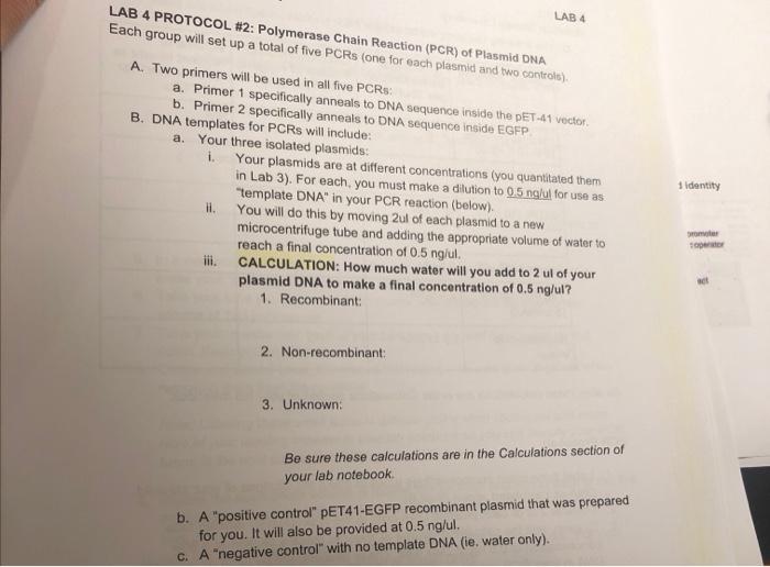 LAB 4 LAB 4 PROTOCOL #2: Polymerase Chain Reaction | Chegg.com