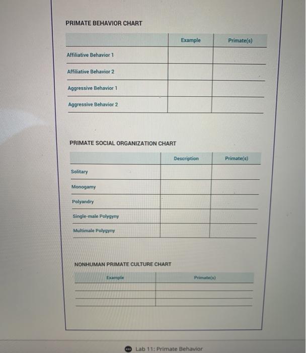 Solved PRIMATE BEHAVIOR CHART Example Primate(s) Affiliative | Chegg.com