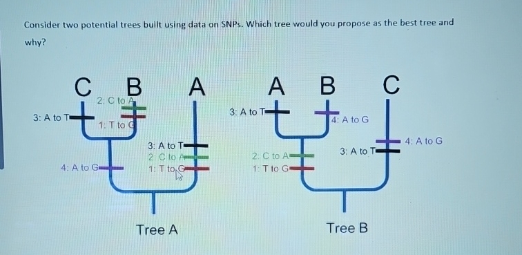 Solved Consider two potential trees built using data on | Chegg.com