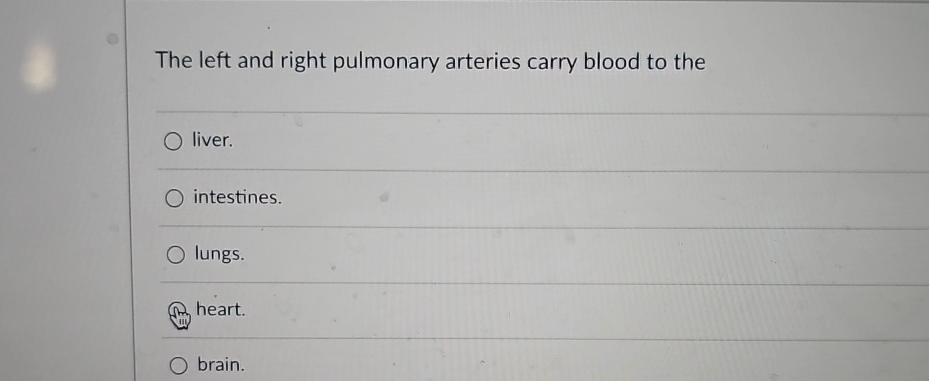 Solved The left and right pulmonary arteries carry blood to | Chegg.com