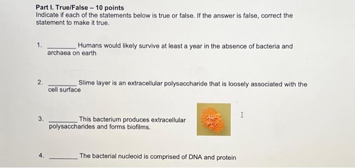 Part I. True/False -10 points Indicate if each of the | Chegg.com