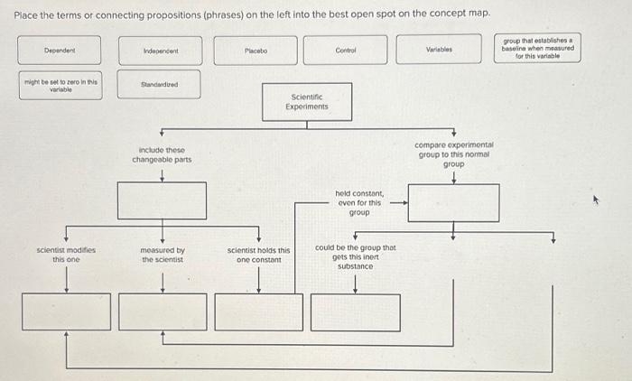 Solved Place the terms or connecting propositions (phrases) | Chegg.com