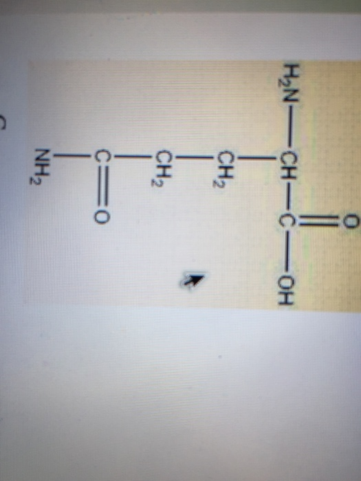 Solved HN-CH-C-OH o= CH2 CH2 C= 0 NH2 | Chegg.com