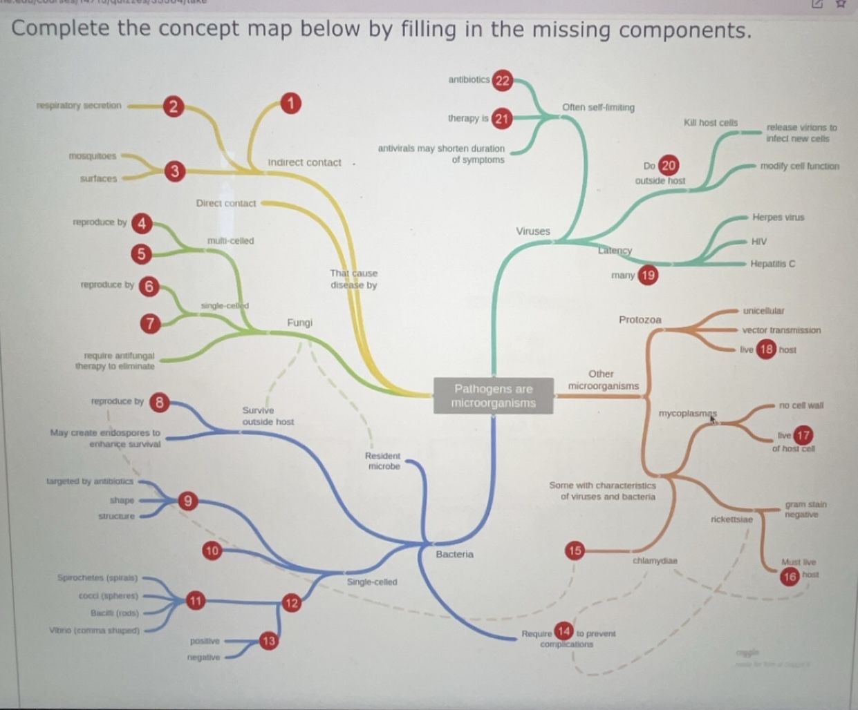 Solved Complete the concept map below by filling in the | Chegg.com