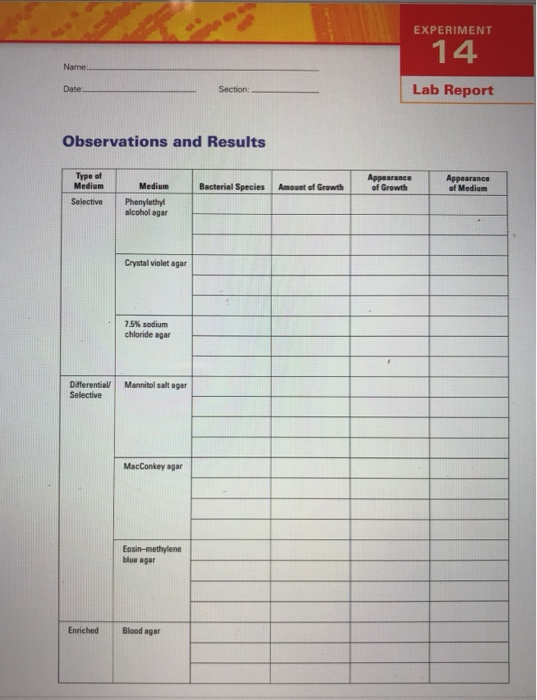 EXPERIMENT 14 Date Section Lab Report Observations | Chegg.com