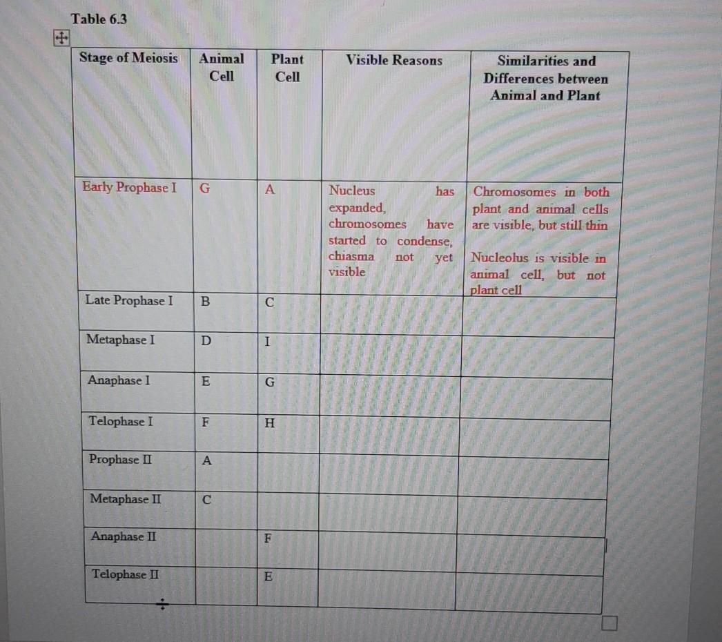 Solved I am requesting the information of Part (2c). This | Chegg.com