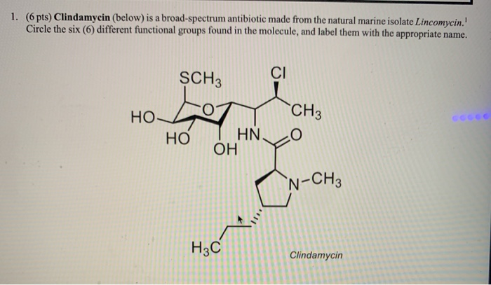 Solved 1. (6 pts) Clindamycin (below) is a broad-spectrum | Chegg.com