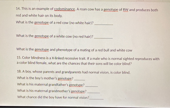 Solved 14. This is an example of codominance. A roan cow has | Chegg.com