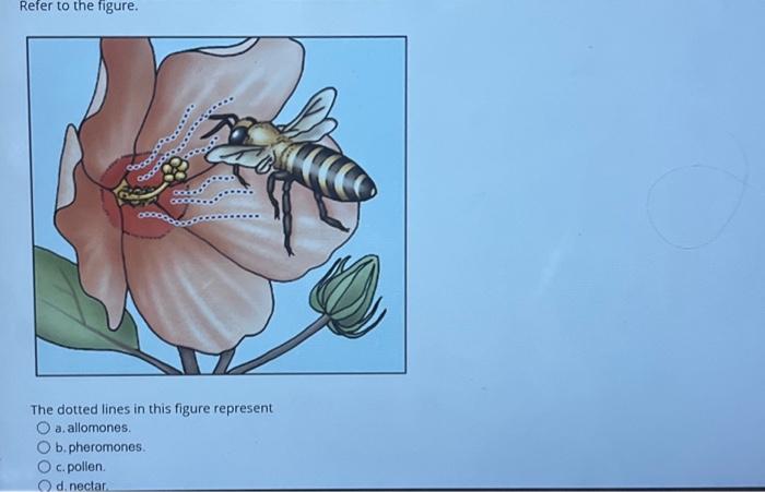 Solved Refer to the figure. The dotted lines in this figure | Chegg.com