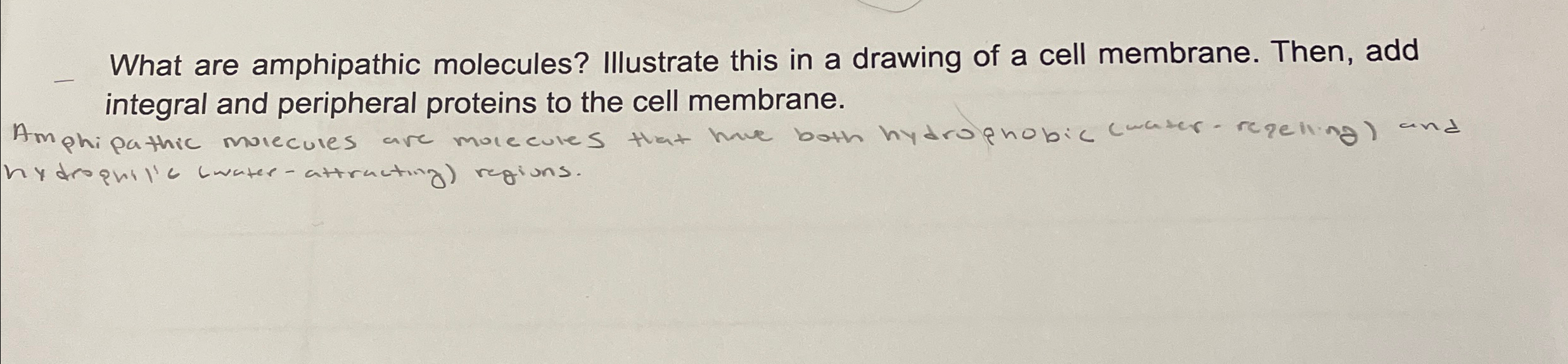 Solved What are amphipathic molecules? Illustrate this in a | Chegg.com