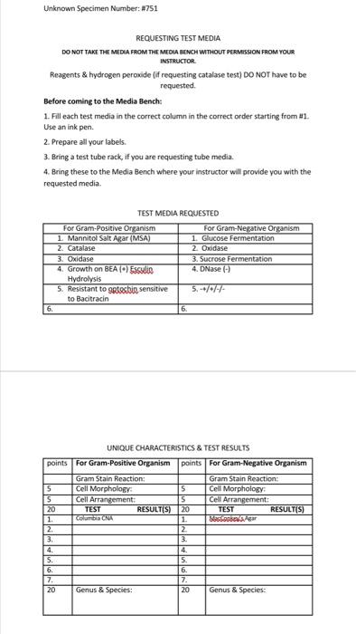 Solved MIXED UNKNOWN IDENTIFICATION FORM Print Name: Lab | Chegg.com