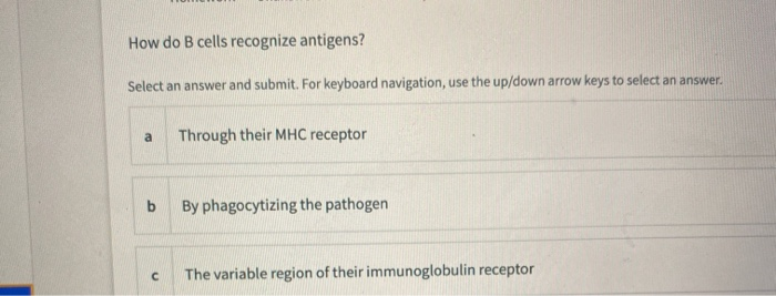 Solved How do B cells recognize antigens? Select an answer | Chegg.com
