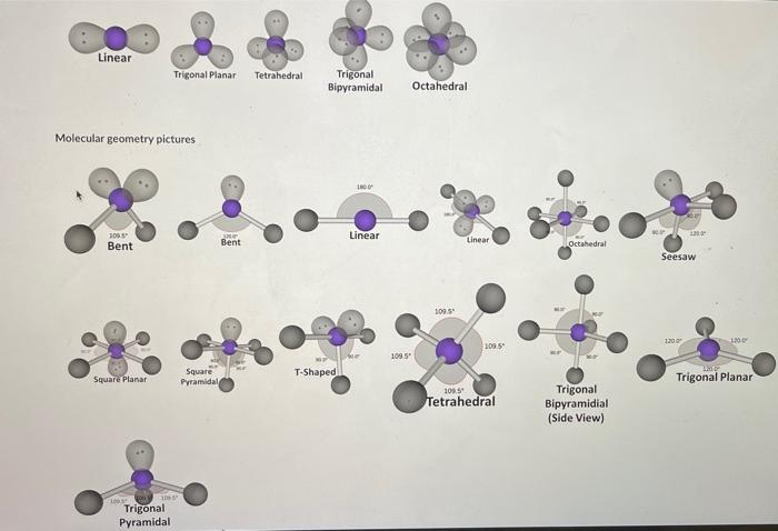 Solved Linear Trigonal Planar Tetrahedral Trigonal | Chegg.com