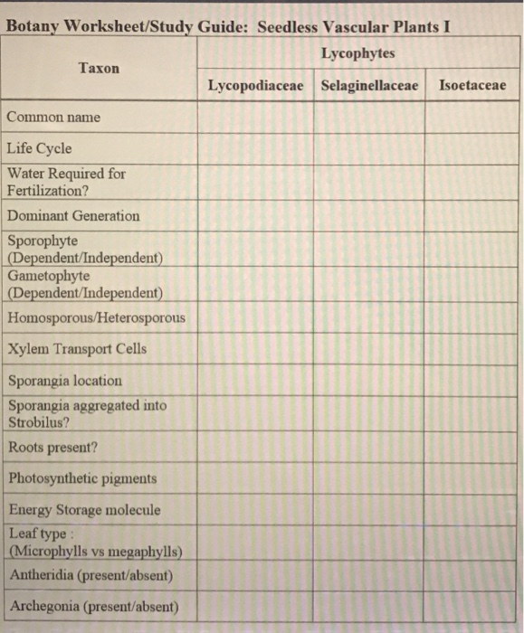 Botany Worksheet/Study Guide: Protists Taxon Common | Chegg.com