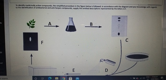 Solved To identify medicinally active compounds, the | Chegg.com