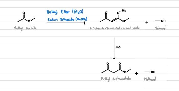 Solved Diethyl Ether (Et2O) Sodium Methoxide (NaOMe) Methyl | Chegg.com