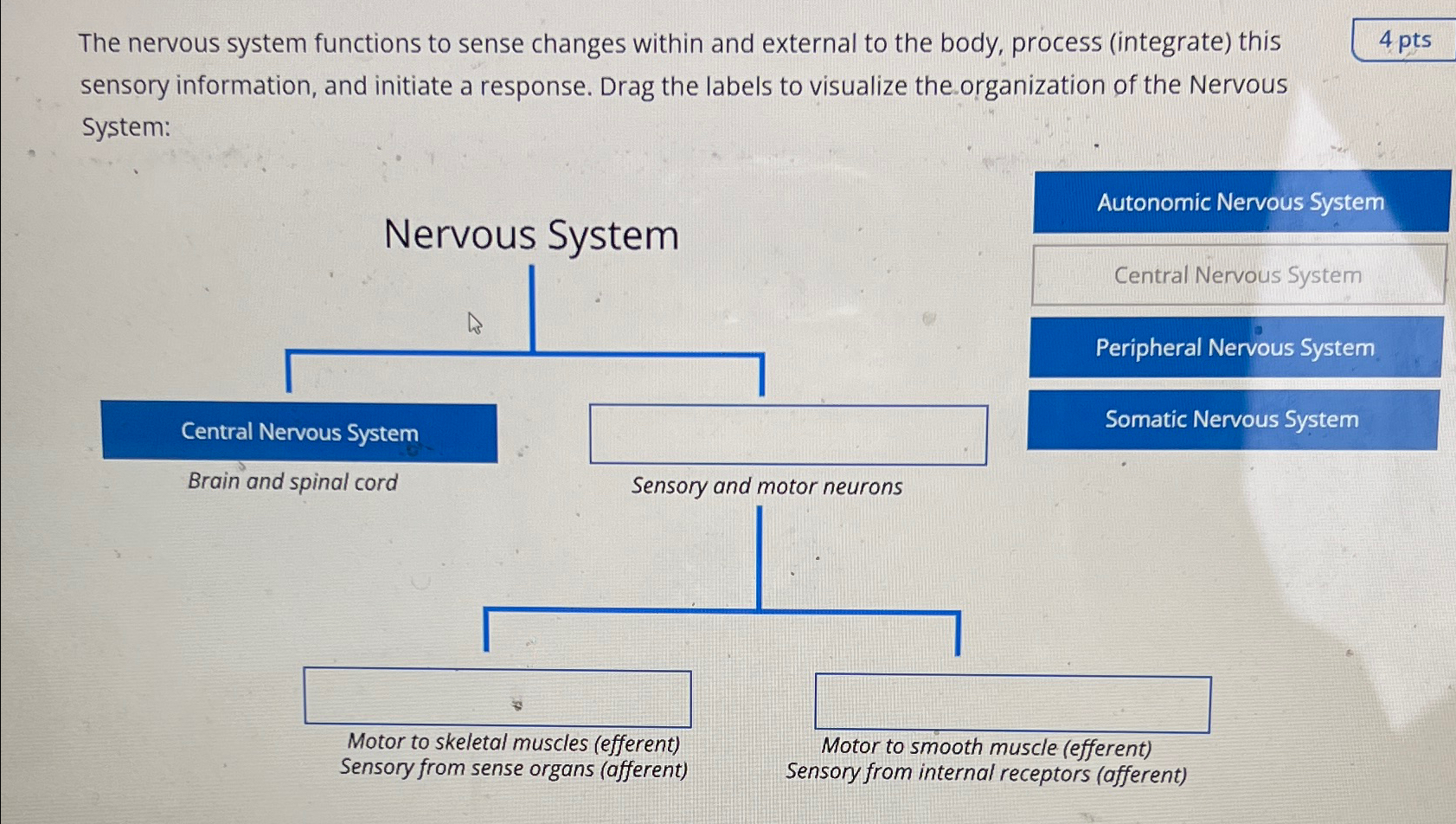 Solved The nervous system functions to sense changes within | Chegg.com