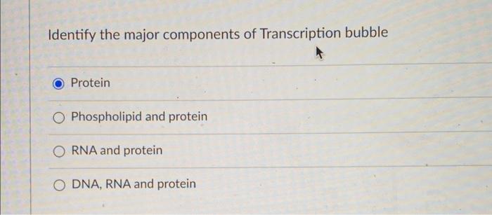 Solved Identify the major components of Transcription bubble | Chegg.com