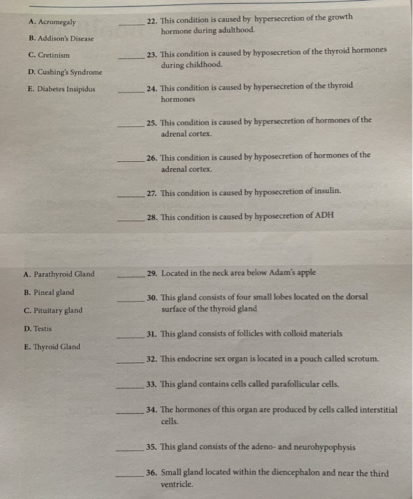 Solved The Endocrine System The Endocrine System: Practice | Chegg.com