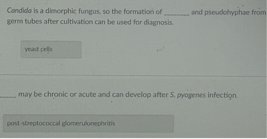 Solved Candida is a dimorphic fungus, so the formation of | Chegg.com