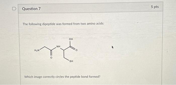 Solved The following dipeptide was formed from two amino | Chegg.com
