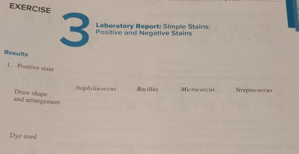 Solved EXERCISE 3 Laboratory Report: Simple Stains: Positive | Chegg.com