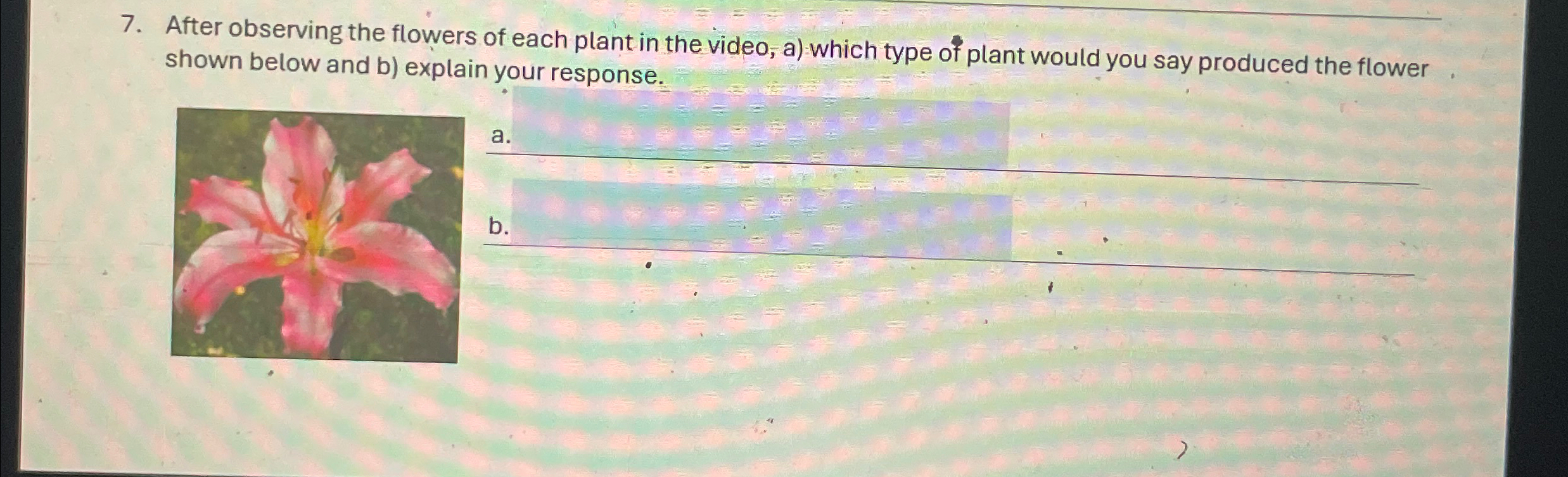 Solved After observing the flowers of each plant in the | Chegg.com