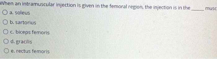 Solved musc When an intramuscular injection is given in the | Chegg.com