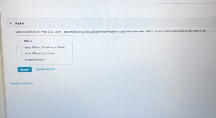 Solved Part B - Comparing RNA and DNA Sort the parts of a | Chegg.com