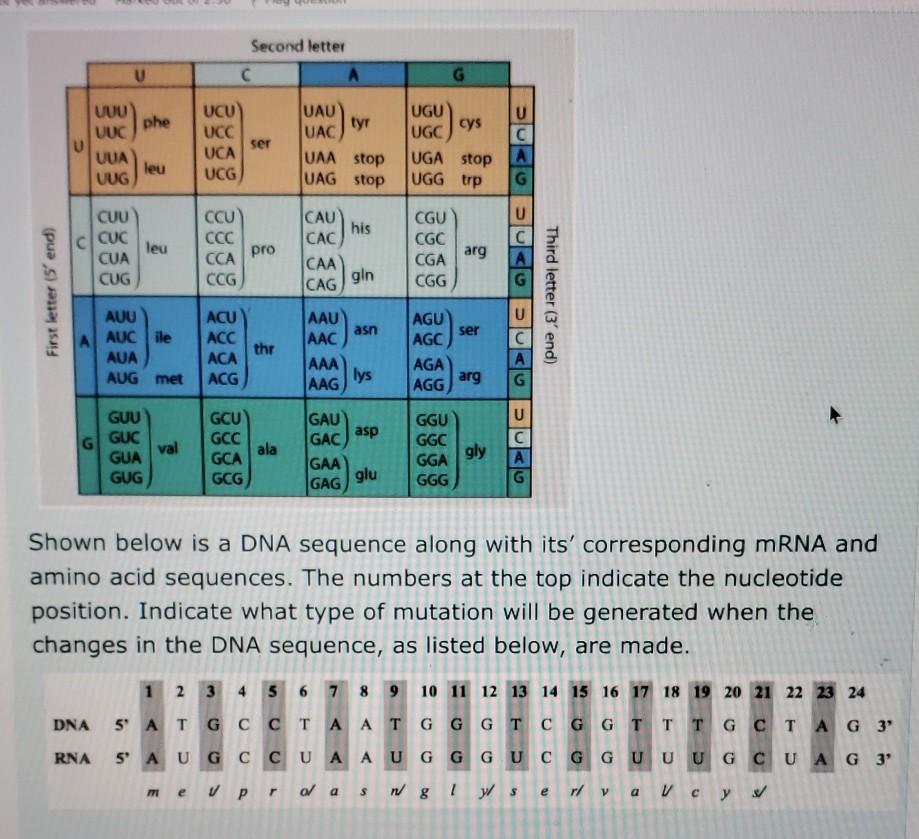 Solved Second letter с A U G phe cys UUU UUC U UUA UUG UCU | Chegg.com
