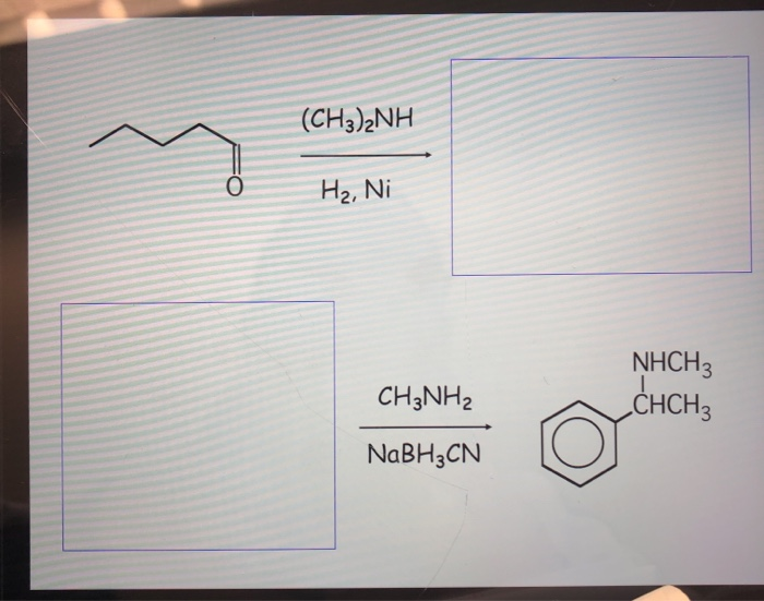 Solved (CH3)2NH О H2, Ni NHCH3 СHCHB CH3NH2 NABH3CN | Chegg.com