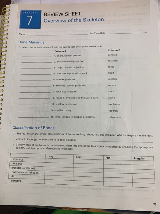 Solved EXERCISE REVIEW SHEET blav odlo ymotunA ao1 7 | Chegg.com