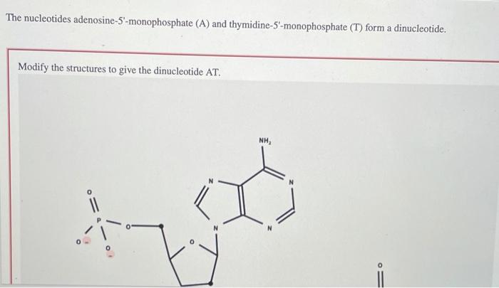 Solved Modify the structures to give the dinucleotide AT. | Chegg.com