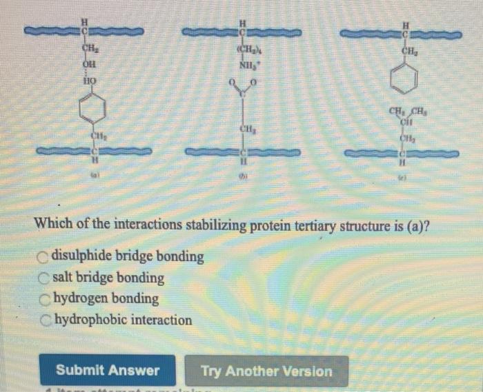 Solved Combining Asp and Ala into the dipeptide Asp-Ala will | Chegg.com