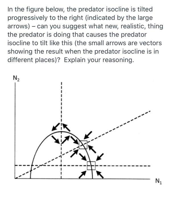 Solved In the figure below, the predator isocline is tilted | Chegg.com