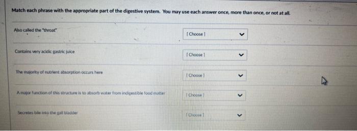 Solved Match each phrase with the appropriate part of the | Chegg.com