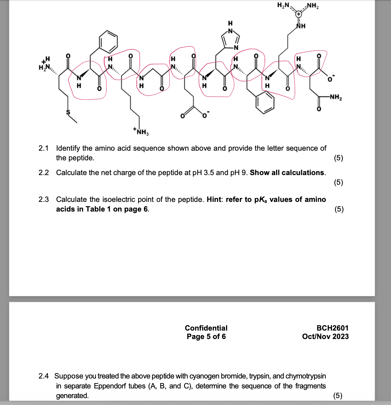2.1 ﻿Identify the amino acid sequence shown above and | Chegg.com
