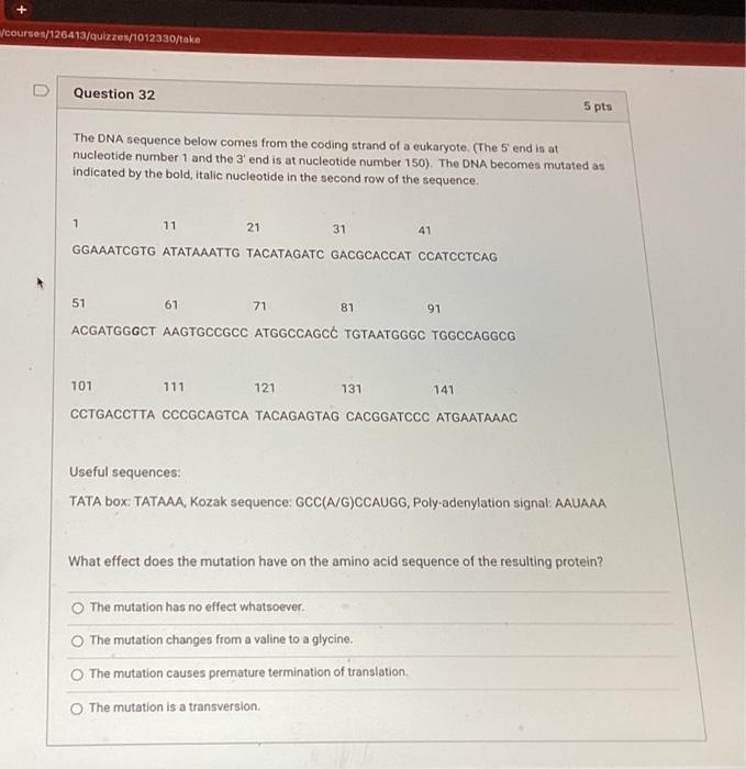 Solved The DNA sequence below comes from the coding strand | Chegg.com