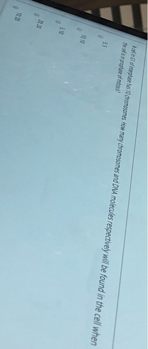 Solved A cel 61 of interphase has 10 chromosomes. How many | Chegg.com