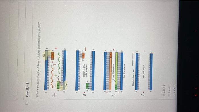 Solved What is the correct order of these 4 pictures | Chegg.com