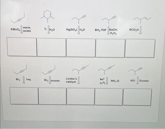 Solved Name: 1.Indicate with an arrow the most substituted | Chegg.com