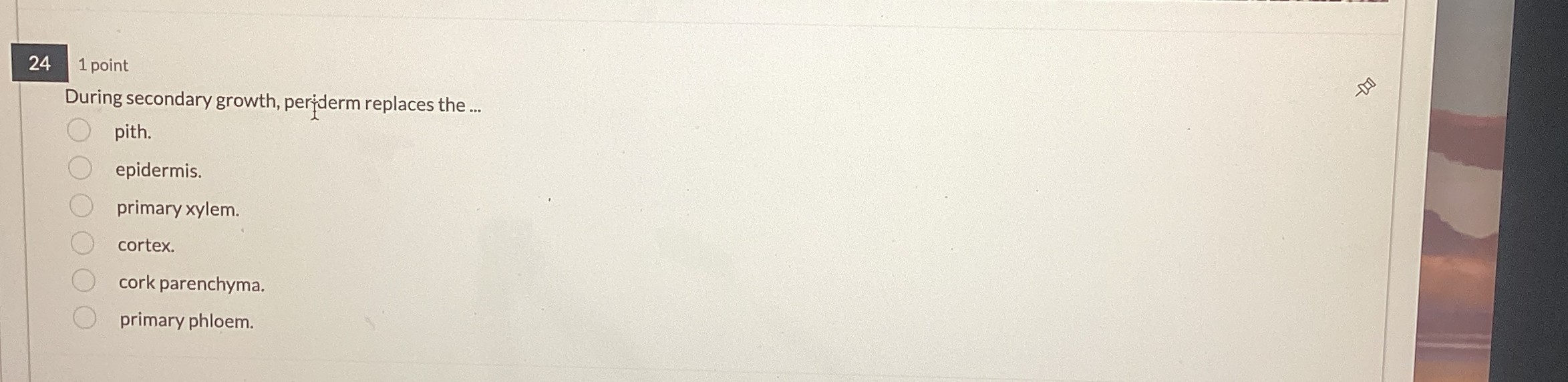 Solved 1 ﻿pointDuring secondary growth, perderm replaces the | Chegg.com