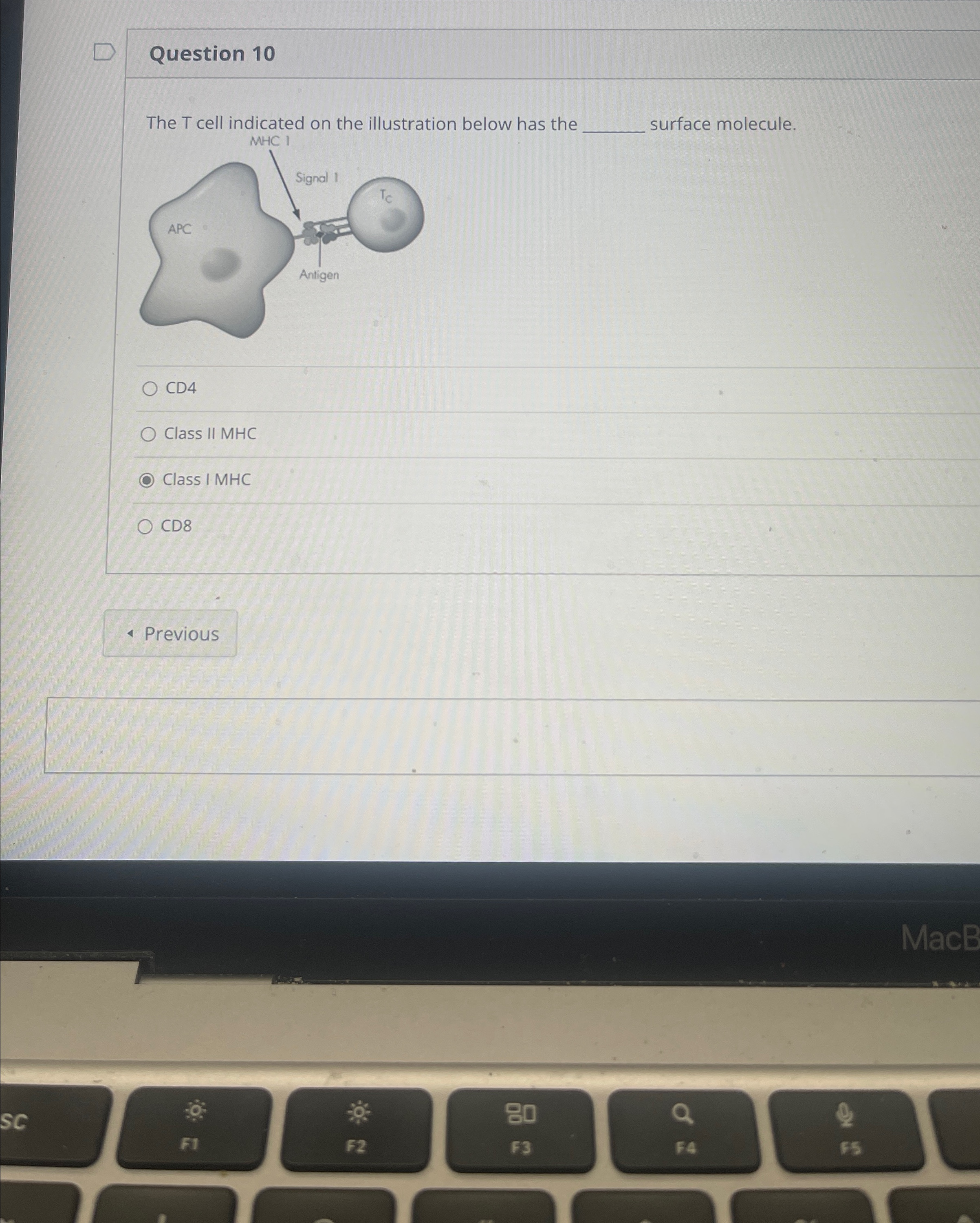Question 10The T cell indicated on the illustration | Chegg.com