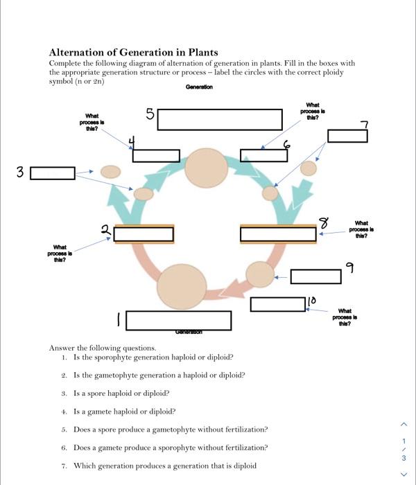 Solved Alternation of Generation in Plants Complete the | Chegg.com