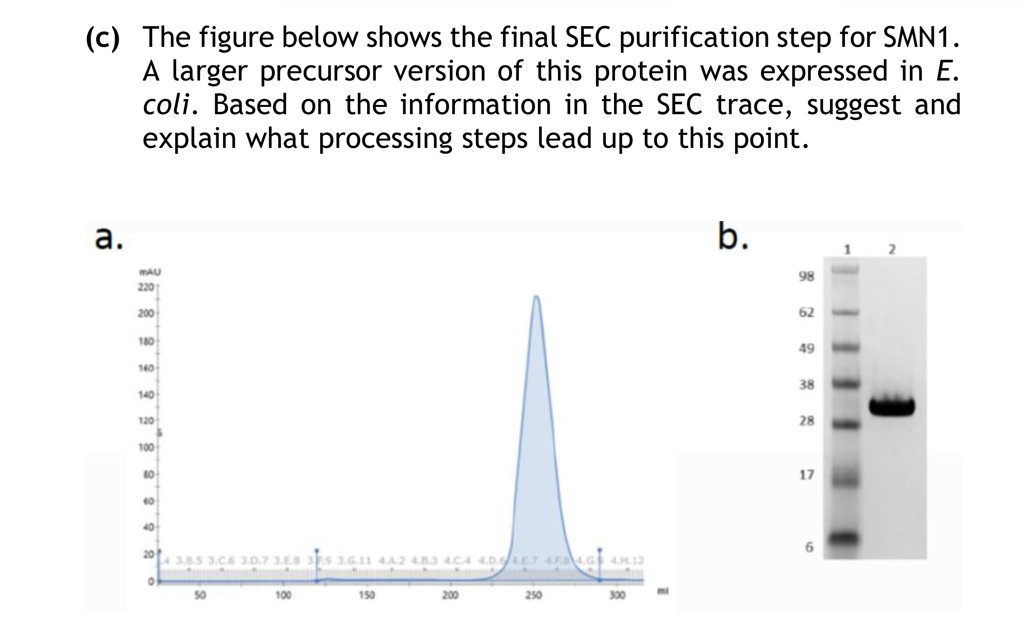 Solved (c) ﻿The figure below shows the final SEC | Chegg.com