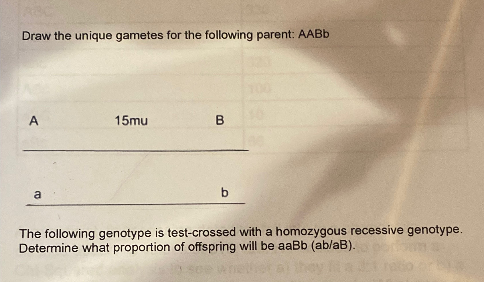 Solved Draw the unique gametes for the following parent: | Chegg.com